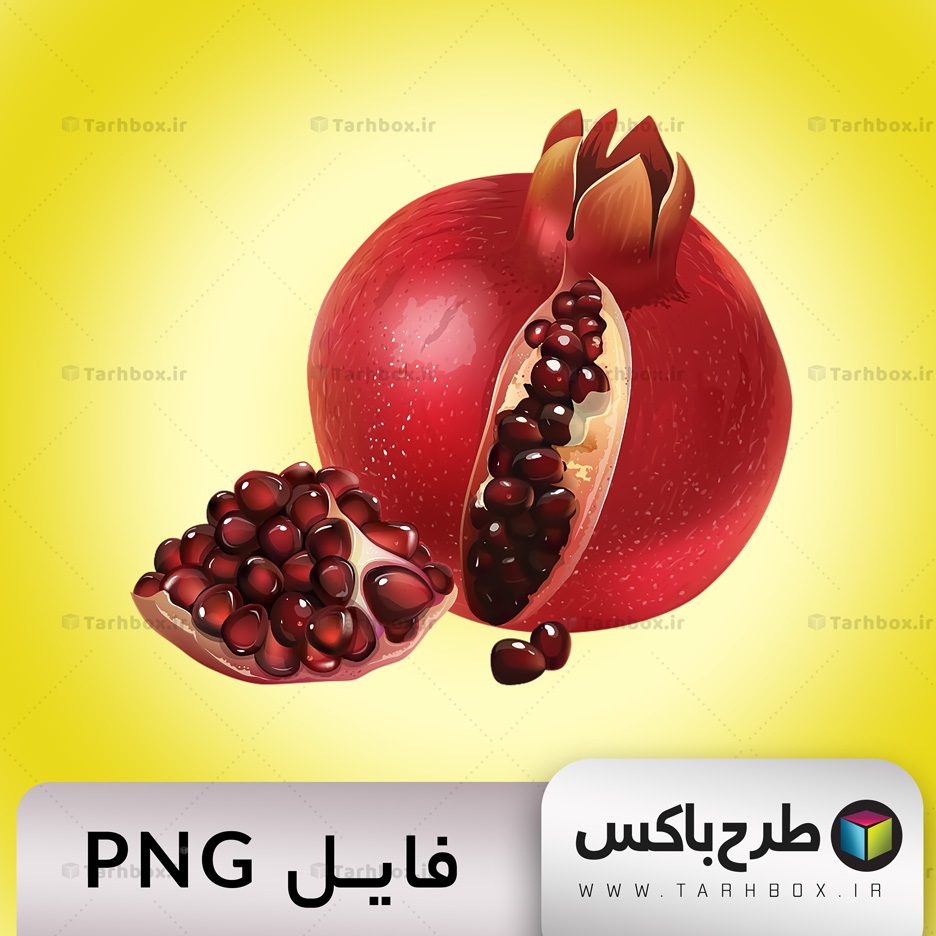وکتور انار PNG - طرح باکس